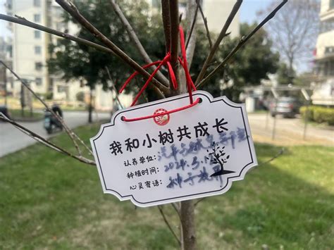 “党建红”引领“生态绿” ——汽车与航空学院与社区开展植树共建活动 芜湖职业技术大学 汽车与航空学院