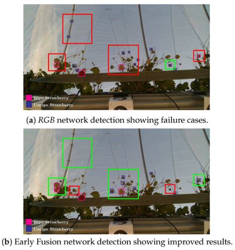 Labfruits A Rapid And Robust Outdoor Fruit Detection System Combining Bio Inspired Features