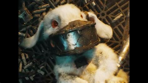 Rocket Teefs Floor Go Now Rocket Sad Scene Galaxy Of The Guardians