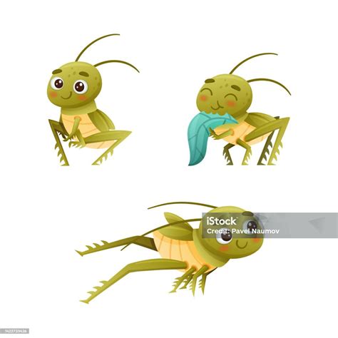 귀여운 작은 메뚜기 캐릭터 앉기 씹는 잎 및 점프 벡터 세트 곤충에 대한 스톡 벡터 아트 및 기타 이미지 곤충 귀여운 다리 신체 부분 Istock