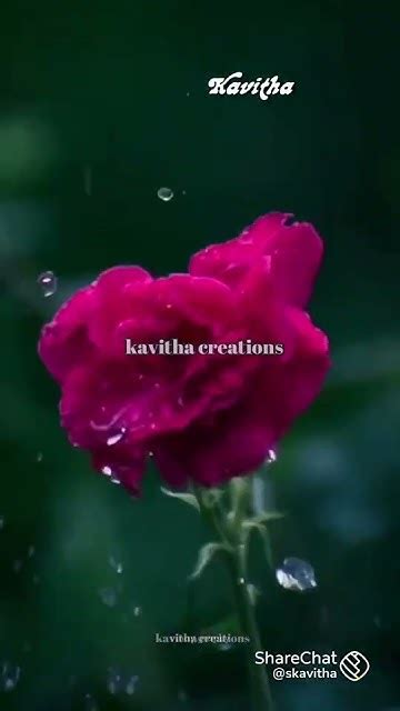 Karuthamma 💙 தென் மேற்கு பருவ காற்று 🥰💙 Youtube
