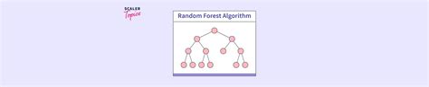 Random Forest Algorithm In Machine Learning Scaler Topics