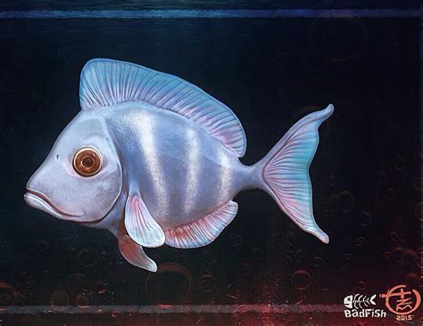 GitHub Thezakman Thezakman Front Page Of My Github