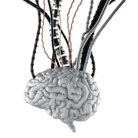 Robotic Brain With Wires Stock Illustration Illustration Of Android