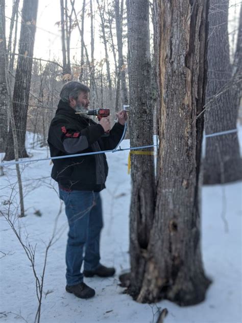 How To Make Maple Syrup A Complete Guide Souly Rested