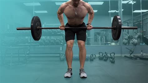 Supinated Barbell Row Video — Treadaway Training
