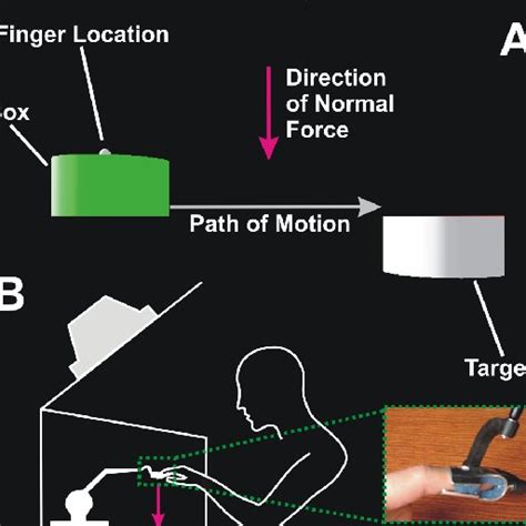 A Example Screenshot Of The Visual Feedback B Schematic Of The Download Scientific Diagram
