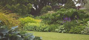 Difference Between Vascular And Non Vascular Plants With Comparison