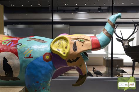 Το Μουσείο Φυσικής Ιστορίας Κρήτης συμμετέχει στην «Τέχνη Καθ Οδόν 2023 ΜΦΙΚ