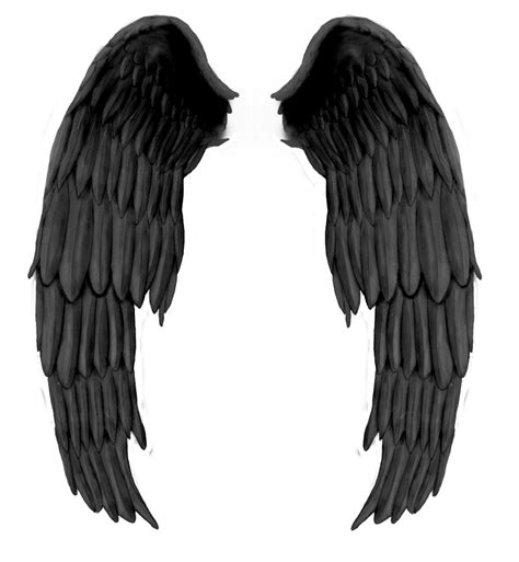 Пин на доске Winged Logos