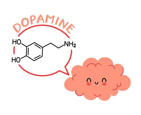 Dopamine et sport Une hormone libérée pendant l activité physique