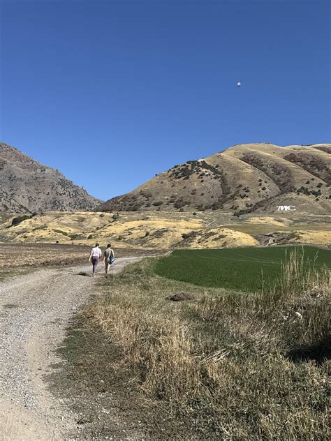 Mysterious UFO Suddenly Appears In Photos A Closer Look At This