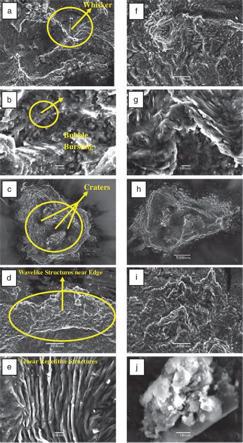 Sem Micrographs Of Laser Irradiated P Type Silicon By 10 50 Shots A E