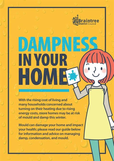A Guide On Managing Damp Condensation And Mould Braintree District