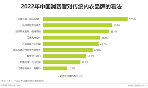 2022年中国女性内衣行业研究报告 36氪