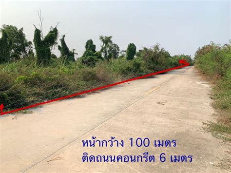 ขายที่ดินเปล่า 2ไร่ ลำลูกกาคลอง12 อ ลำลูกกา จ ปทุมธานี ติดถนนคอนกรีต