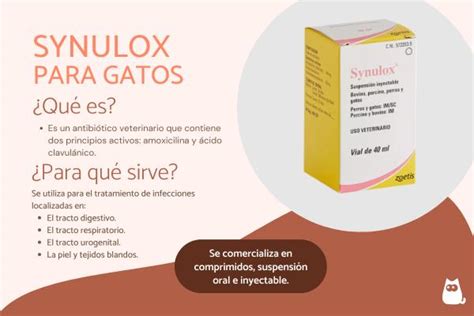 Synulox Para Gatos Dosis Y Cómo Usar