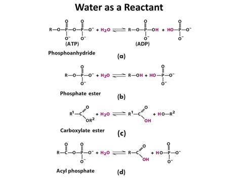 Ppt Chapter 2 Water Powerpoint Presentation Free Download Id 3202350