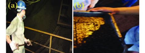 A Manual Sampling For Green Pellet B Green Pellet Samples Download Scientific Diagram