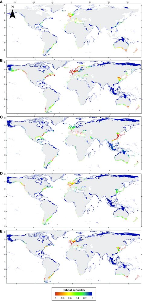 Final Ensemble Model Weighted Average Distributions For Each Of The Download Scientific