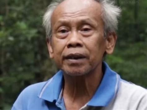 Inspiratif 18 Tahun Jadi Penjaga Hutan Di Taman Nasional Imang