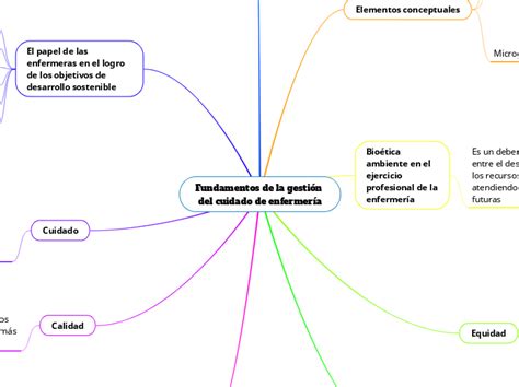 Fundamentos De La Gestión Del Cuidado De E Mind Map