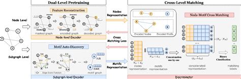 figure 1 from empowering dual level graph self supervised pretraining