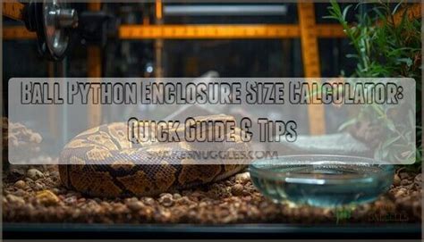Ball Python Enclosure Size Calculator Quick Guide And Tips