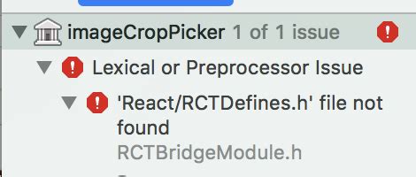 RCTBridgeModule H Not Found Issue 414 Ivpusic React Native Image