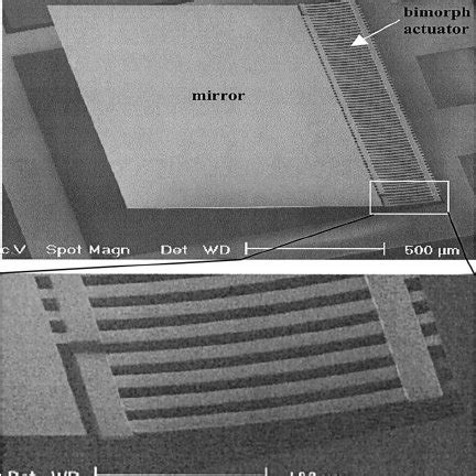 Electronic Circuit Of The Stroboscope Download Scientific Diagram