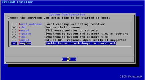 Vmware安装freebsd虚拟机在虚拟机上安装freebsd Csdn博客