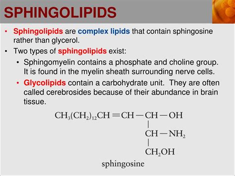 Ppt Sphingolipids Powerpoint Presentation Free Download Id 3799980
