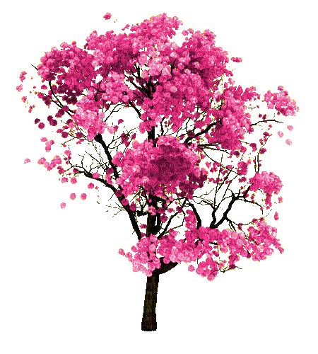 Baum Milla1959 Free Animated  Picmix