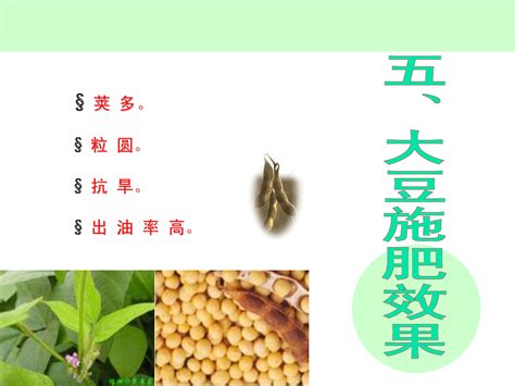 大豆需肥规律及施肥技术 农业文库 德德沐农业文库共享网