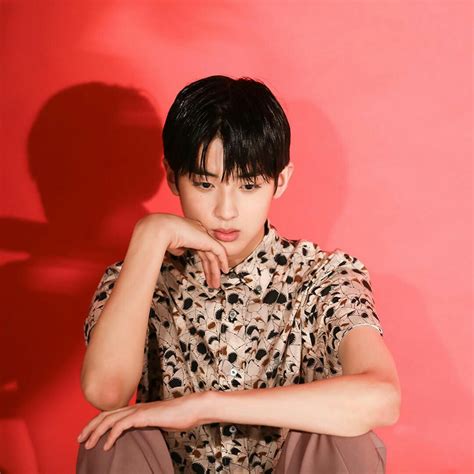 Kim Min Kyu Mingyu Bias Wrecker Face Claims Babefriend Material Behind The Scenes I Am