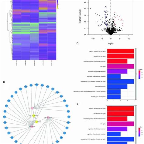 Construction Of Gsc11 Specific Mirna Mrna Regulatory Network Ab The Download Scientific