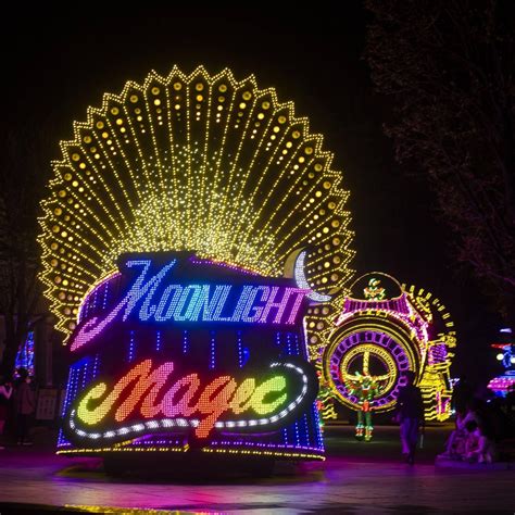 “여름 더위엔 역시 물축제” 에버랜드 ‘워터 스텔라 개막｜스포츠동아