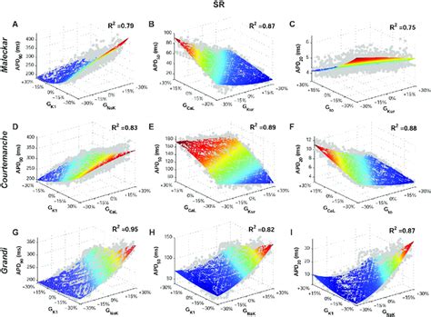 Ionic Conductances Determining Inter Subject Variability In Human Download Scientific Diagram