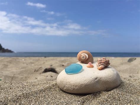 海で見つけた宝物。 By Naoto117 （id：6201016） 写真共有サイトphotohito