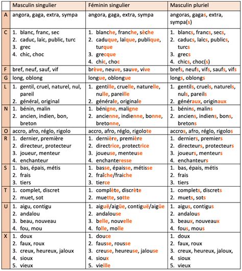 Laccord Des Adjectifs Irréguliers Digischool