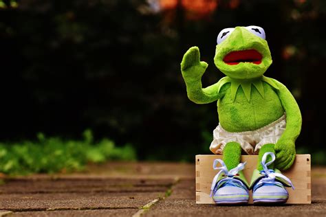 Kermit The Frog Plush Toy Free Image Peakpx
