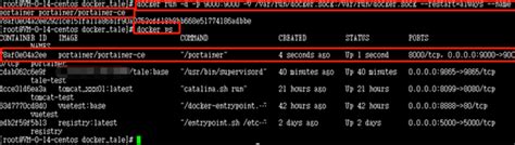 Svnjenkinsdocker实现自动化打包部署send Files Or Execute Commands Over Ssh