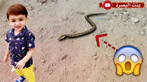 طفل صغير يمسك بأفعى شاهد ماذا حصل له 😱🔥🔥 Youtube