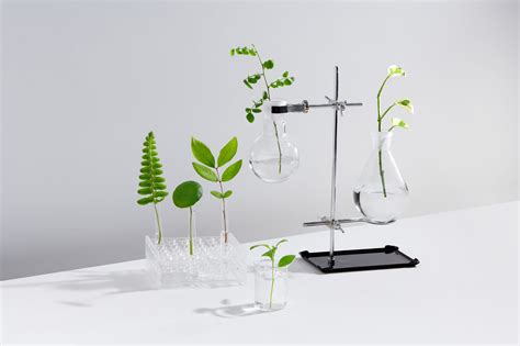 Comprehensive Fertility And Infertility Evaluation Virginia Fertility And Ivf