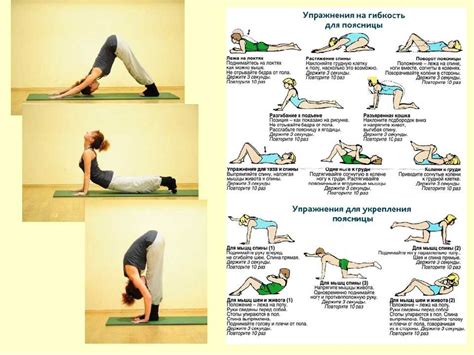 Упражнения на укрепление мышц спины 12 лучших упражнений для спины эффективно и просто