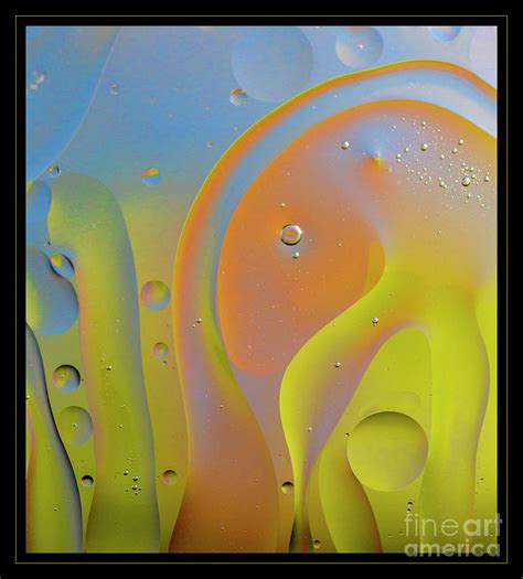 Blue And Gold Photograph By Darleen Stry Fine Art America