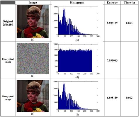 a the plain image girl b original histogram c encryption of