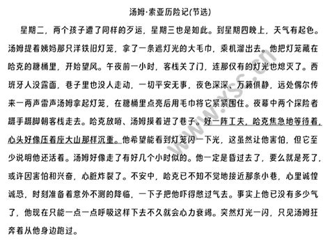 汤姆索亚历险记阅读理解题及答案 阅读答案十一 小升初网