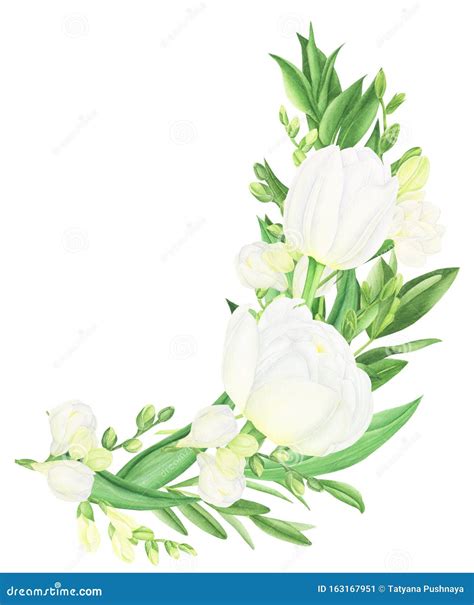 Floral Arrangement With White Spring Flowers Tulips And Freesias