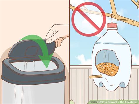 3 Easy Ways To Prevent A Rat Infestation Wikihow